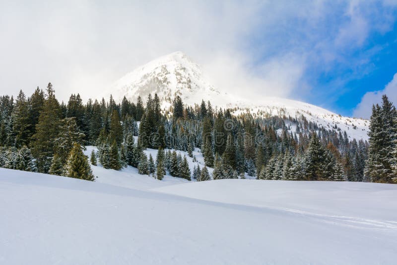 Winter Landscape in a Mountain Valley with Snow. Stock Image - Image of ...