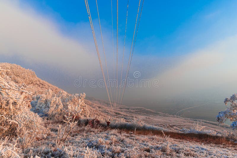 Cold Day in the Winter Inside of the Forest Stock Photo - Image of ...