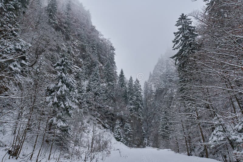 Winter Landscape with Mountains Forests and Snow Stock Image - Image of ...