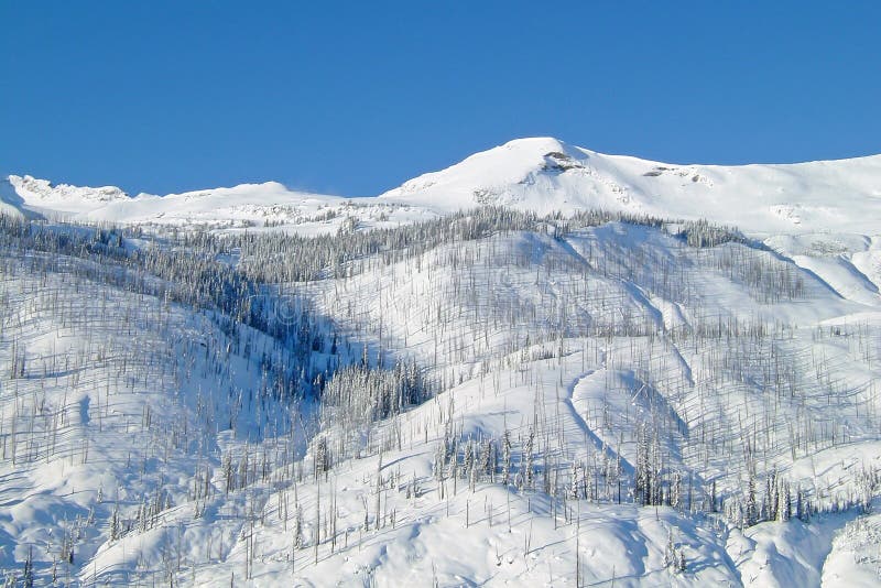 Winter Landscape with Mountains and Trees in the Bugaboos, Purcell ...