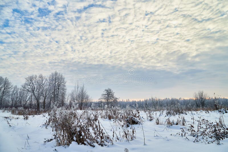 Naced Peop Stock Photos - Free & Royalty-Free Stock Photos from Dreamstime