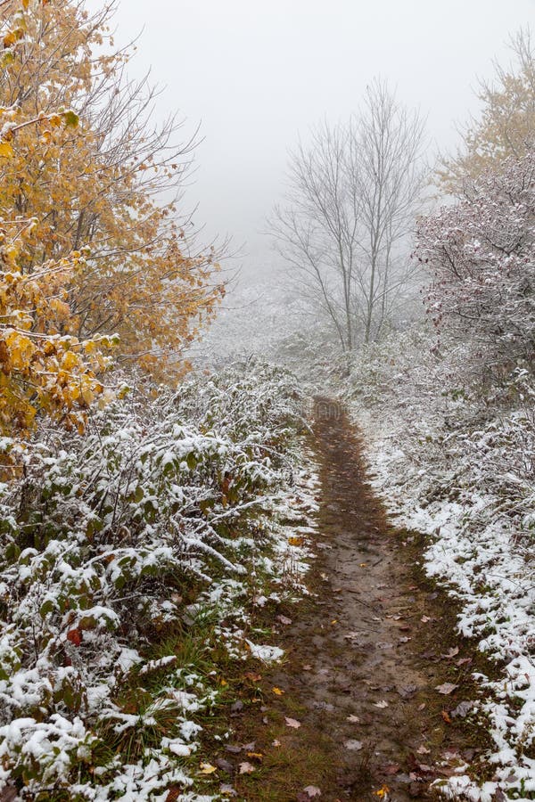 Trail Winter Landscape Near Max Patch Stock Photos - Free & Royalty ...