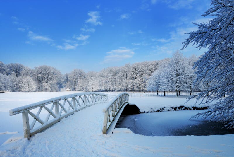 Winter Landscape in the Netherlands Stock Image - Image of overveen ...