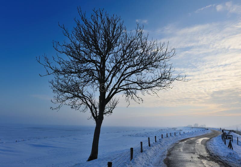 Winter Landscape in the Netherlands Stock Image - Image of european ...