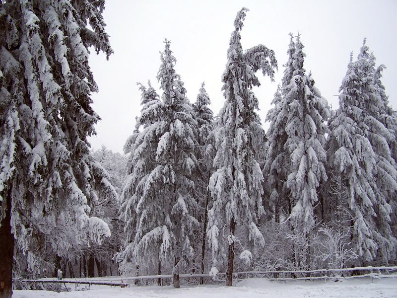 Winter landscape editorial stock photo. Image of nice - 44418963