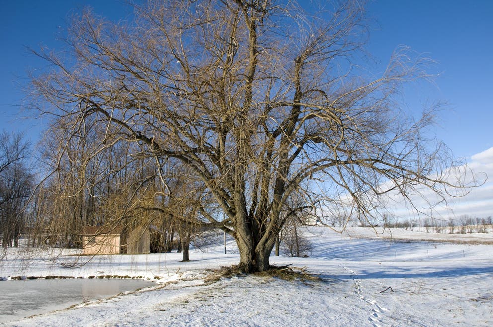 Winter Landscape in Ohio stock image. Image of landscape - 12896937