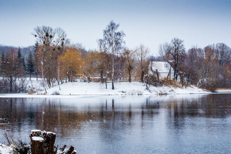 Winter Landscape Overlooking the River during Snowfall. Snowy Tr Stock ...