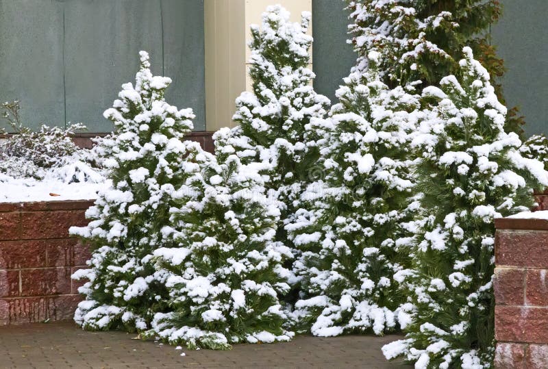 Winter Landscape in the Park. Reference Picture. Stock Photo - Image of ...