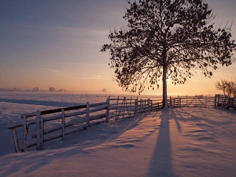 Winter Landscape in Pasture Stock Image - Image of countryside, snow ...