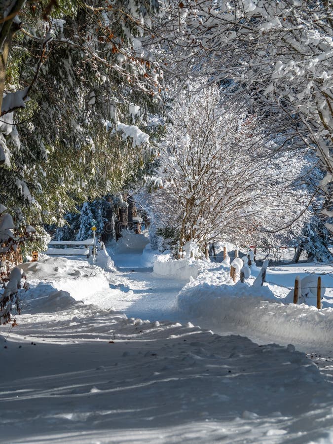 Winter landscape with path stock photo. Image of beautiful - 207708086
