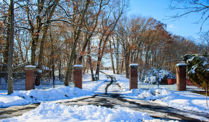 Snowy Path through the Trees Stock Image - Image of fence, outside ...