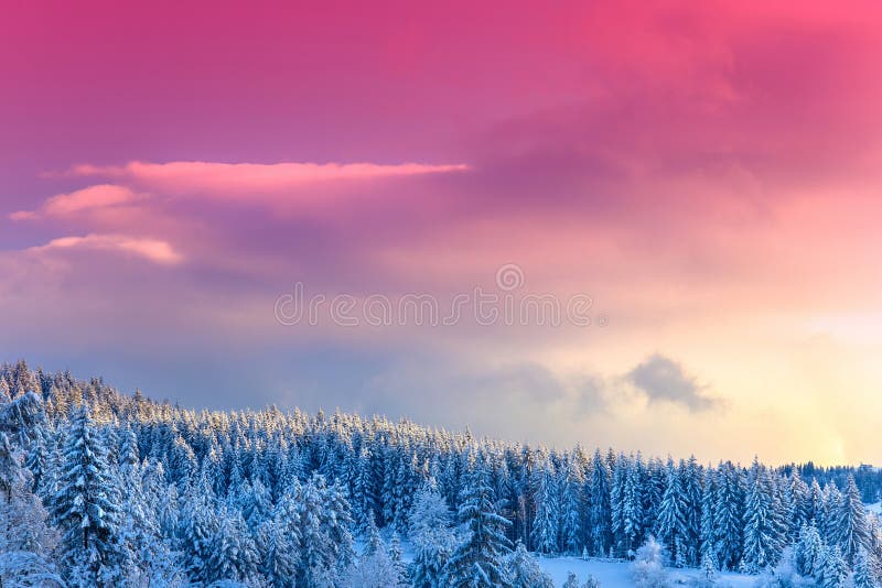 Winter Landscape with Red Sky and Forest Stock Photo - Image of light ...