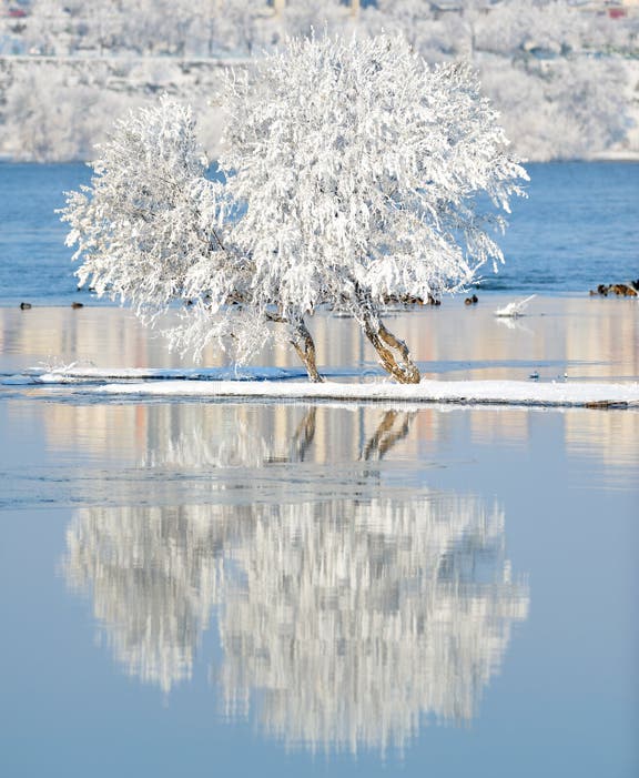 Winter Landscape with Reflection in the Water Stock Image - Image of ...