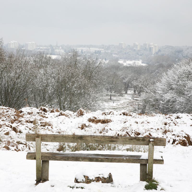 Winter Landscape of Richmond Park Stock Photo - Image of winter ...