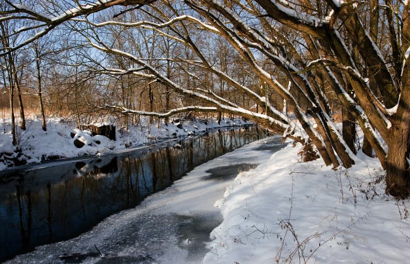 Winter stock photo. Image of trees, landscape, water, january - 656392