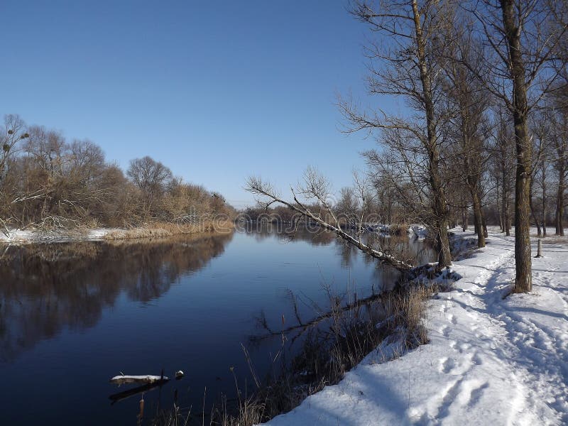 Winter Landscape. River and Forest Stock Image - Image of leaves ...