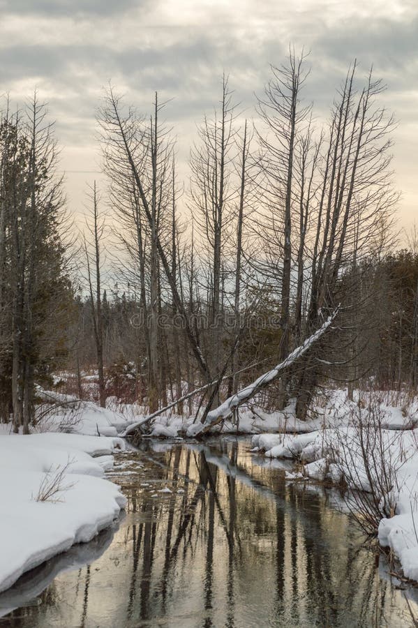 Winter Landscape of River, Trees, Snow and Reflections Stock Image ...