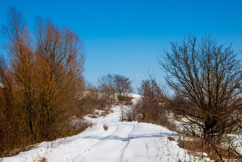 Winter Landscape: Road in the Field and Trees Along the Road_ Stock ...