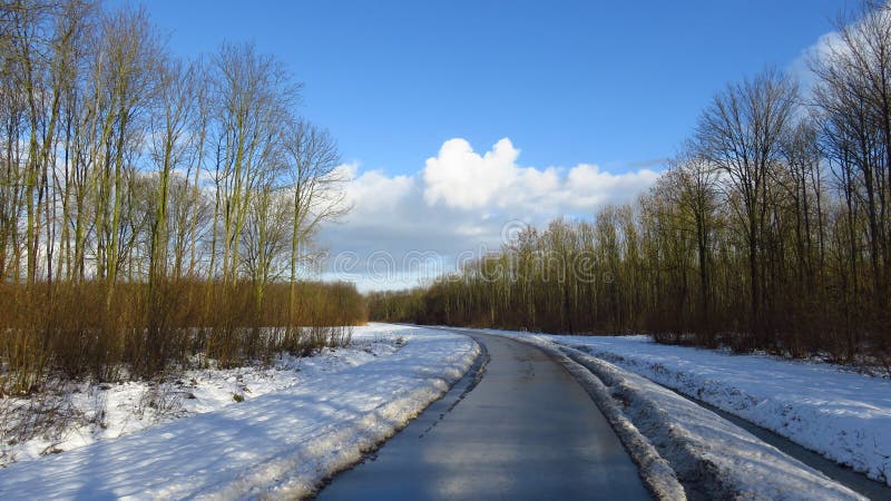 Winter Landscape with Road Running through Forest Stock Image - Image ...