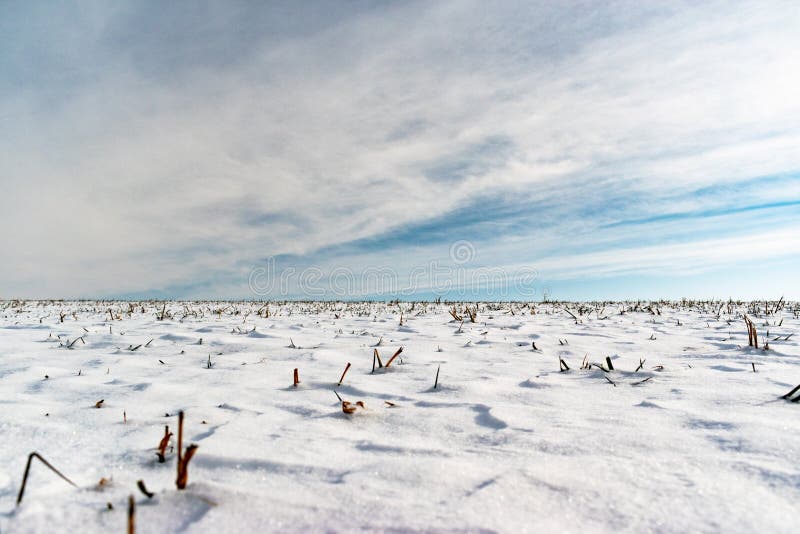 Winter Landscape Rural Scenery Covered with a Thin Layer of Snow Stock ...