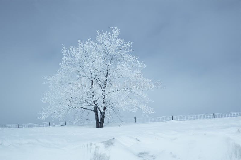 Winter Landscape stock photo. Image of blue, cold, nebraska - 35916326