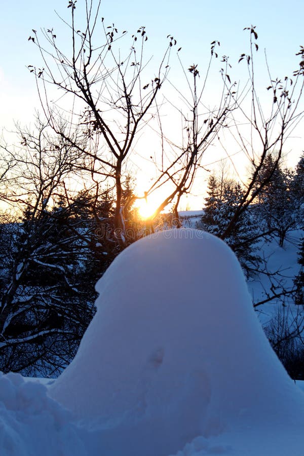 Winter Landscape,sky with Long Shadows,Pine Trees Covered with Snow ...