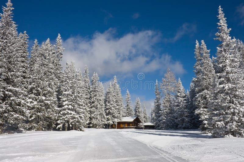 Winter Landscape after Snow Stock Photo - Image of season, cold: 13103288