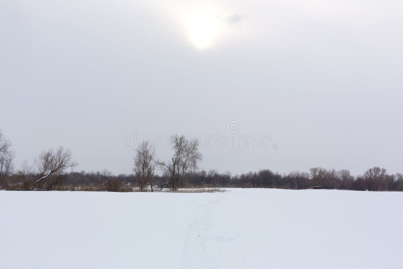 Winter Landscape, Snow Blizzard in the Field Stock Image - Image of ...