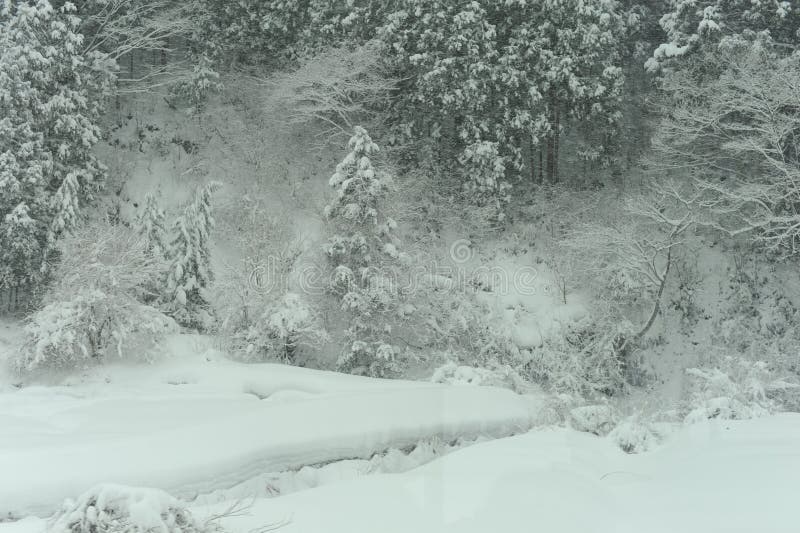 Winter Landscape during Snow Blizzard Stock Image - Image of blizzard ...