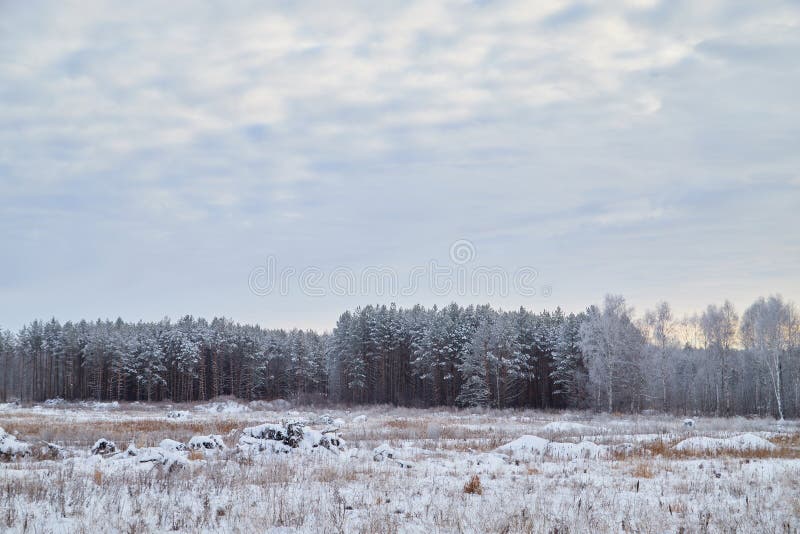 Winter Landscape with Snow Covered Field and Blue Sky with Clouds Stock ...