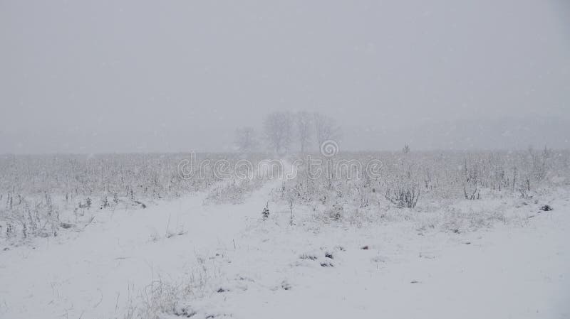 Winter landscape stock photo. Image of frost, poor, season - 63271240