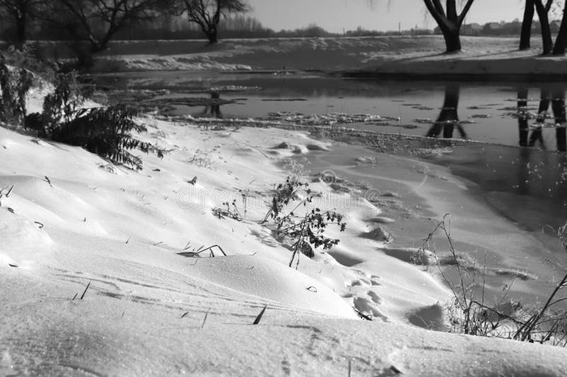 Winter Landscape. Snow-covered Shoreline with Reflection of Trees in ...