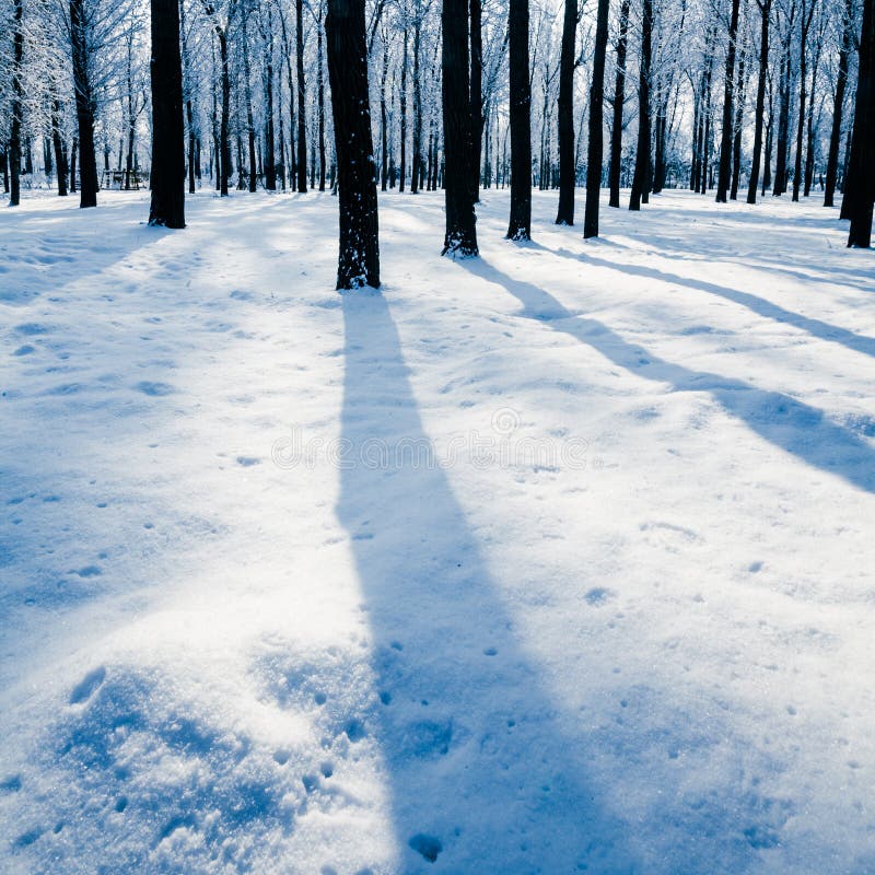 Snow shadow stock photo. Image of snowscape, winter, freezing - 201438