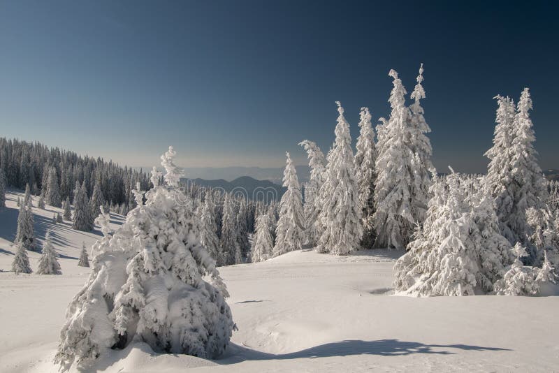 Quiet Winter Snowy Landscape Stock Photo - Image of coldish, drift ...
