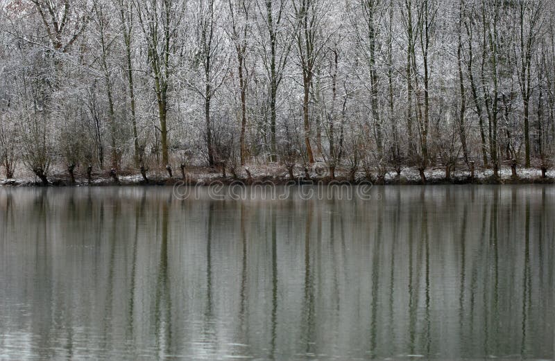 Winter Landscape of Snow Covered Trees Reflecting in Lake Stock Image ...