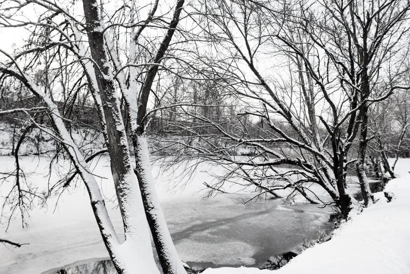 Winter Landscape of Snow-covered Trees and River Stock Image - Image of ...