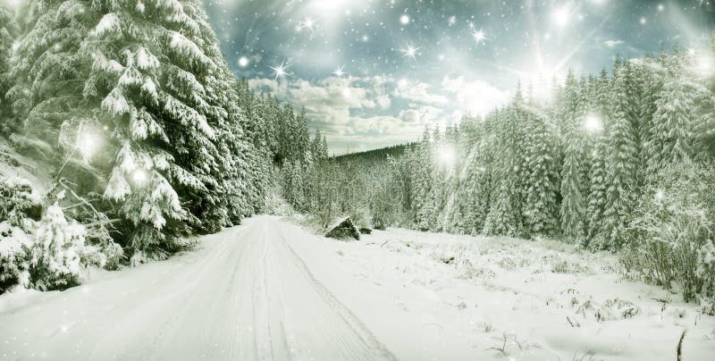 Winter Landscape - Snow Covered Trees and Sky with Stars Stock Photo ...
