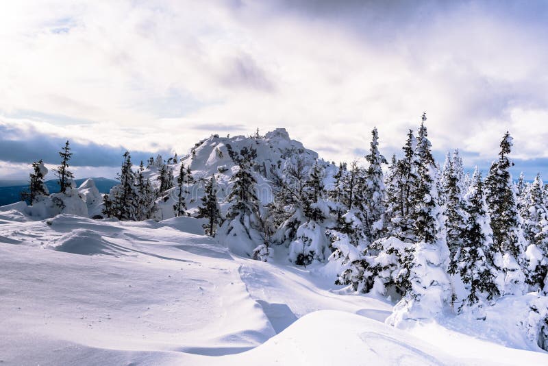 Winter Landscape with Snow Forest on Hillside Under Cloudy Sky Stock ...