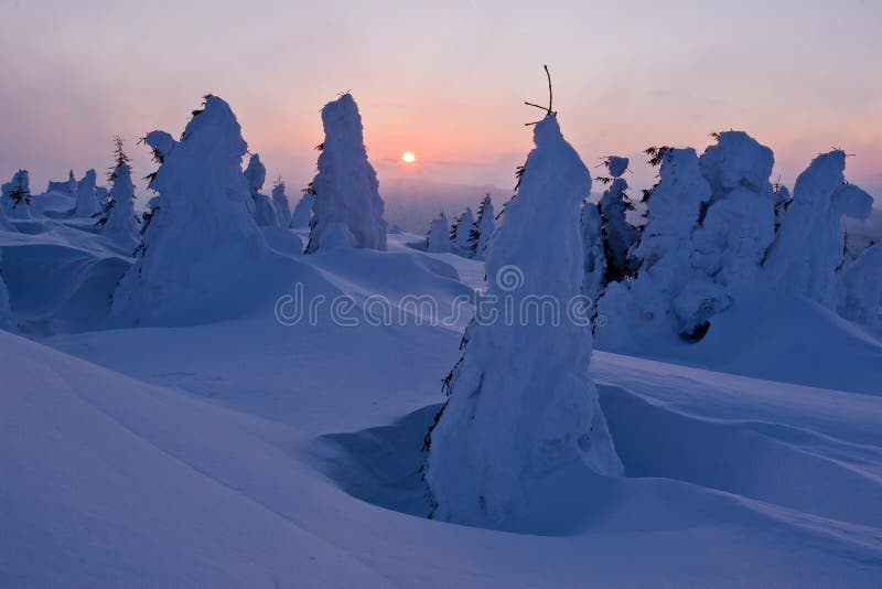 Winter Landscape of Snow Ghosts - Harghita Madaras Stock Image - Image ...