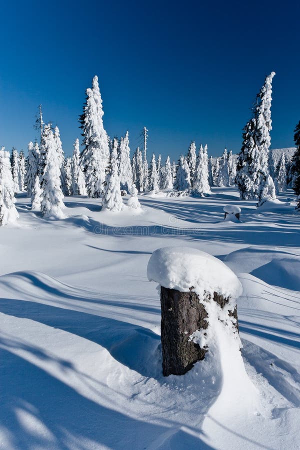 Winter Landscape of Snow Ghosts - Harghita Madaras Stock Image - Image ...