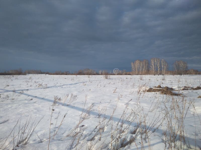 Winter Landscape in the Forest with Snow in Siberia with Nature for the ...