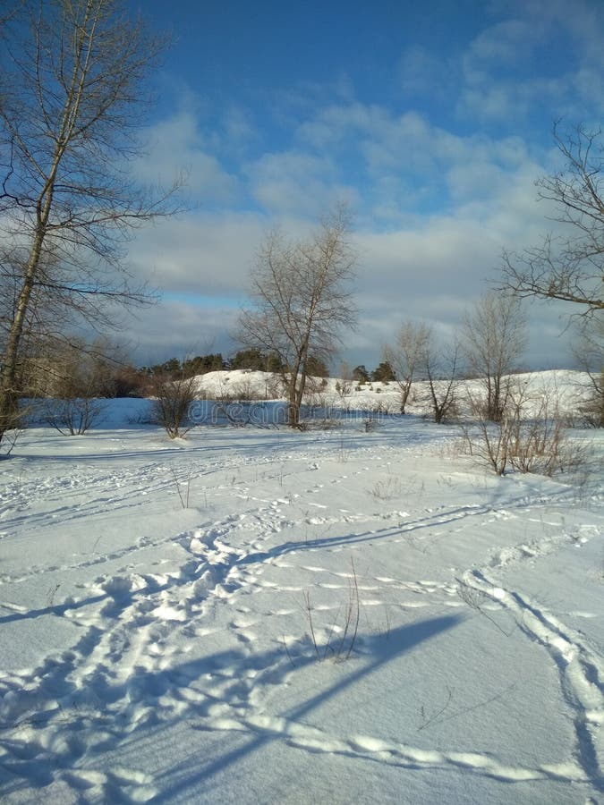 Winter Landscape. Snow Trails on Snow Trees and Blue Sky with Clouds ...