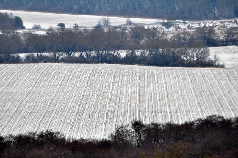 Winter Landscape with Snow, Trees and Fields Stock Image - Image of ...