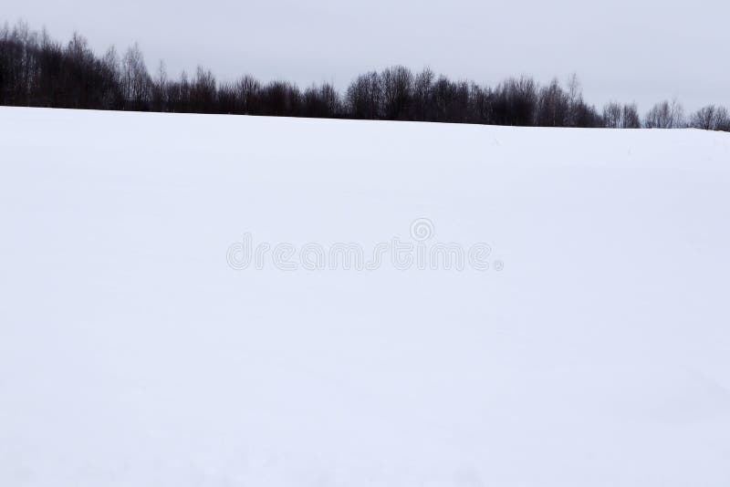 Winter Landscape with Snow White Field Stock Image - Image of beautiful ...