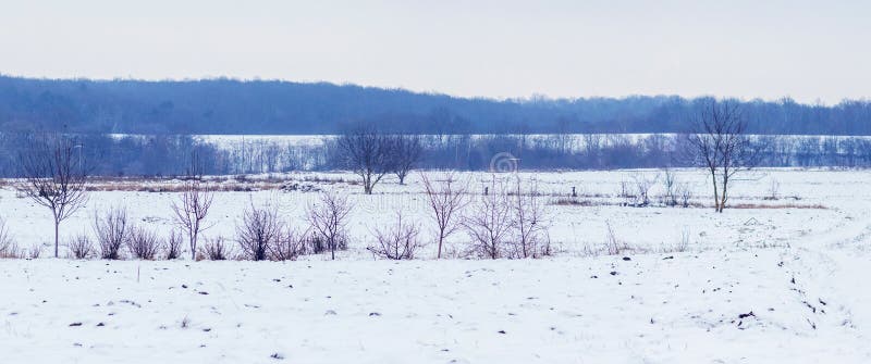 Winter Landscape with Snowy Field and Forest in the Distance Stock ...