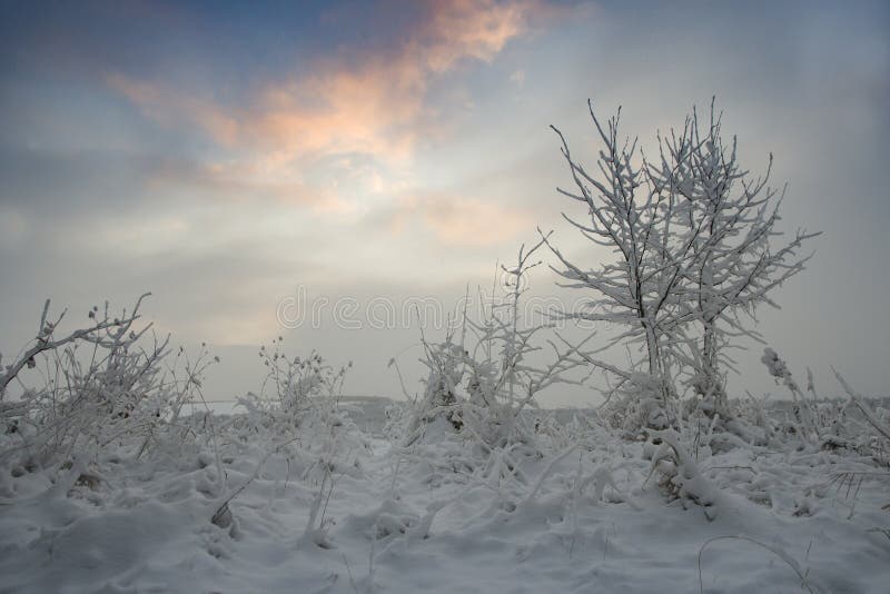 Winter landscape stock image. Image of wood, tree, snow - 203400361