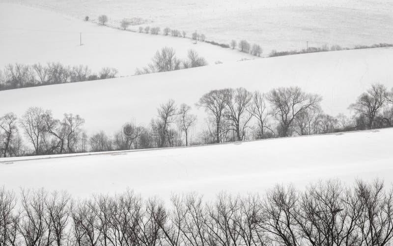 Winter Landscape of Snowy Fields and Tree. Stock Image - Image of ...