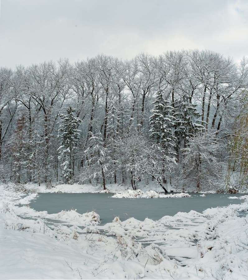 Winter Landscape with Snowy Forest and Ice Lake Stock Image - Image of ...