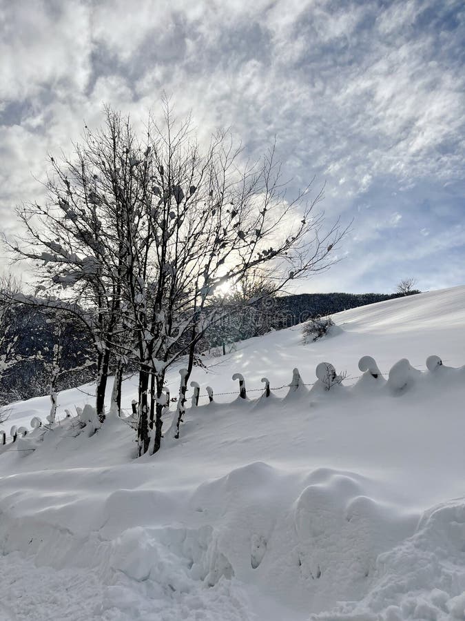 Winter Landscape with Snowy Hills and Pathway Stock Photo - Image of ...
