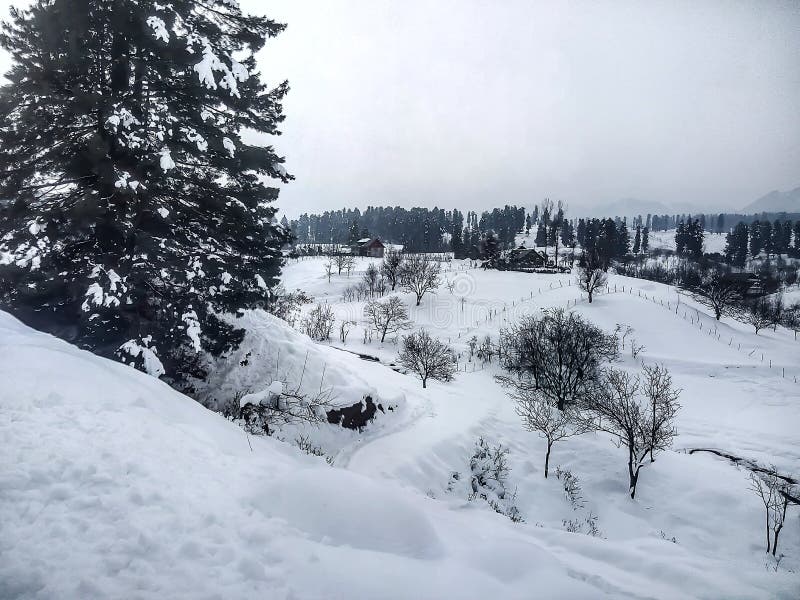 Winter Landscape with Snowy Texture Stock Photo - Image of wonderland ...